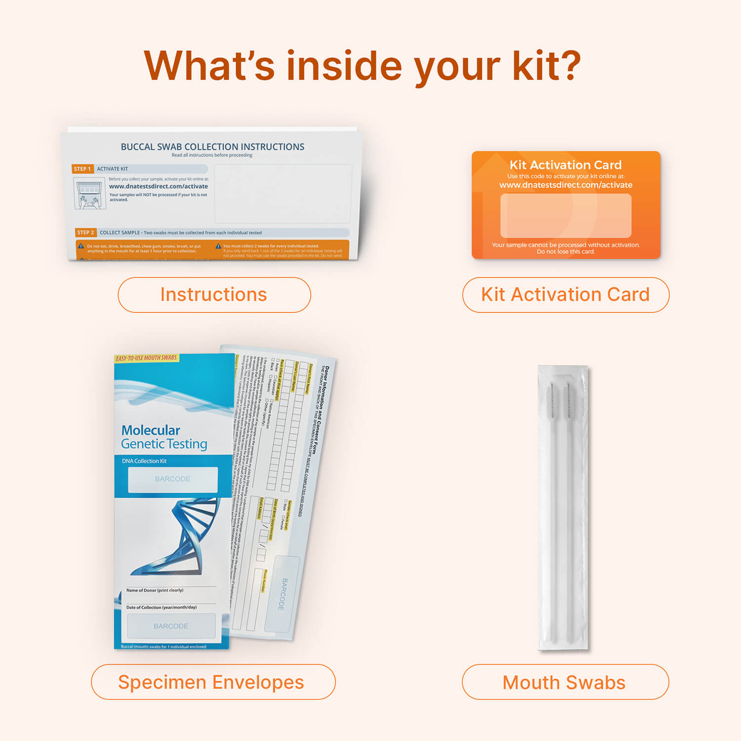 DNA Paternity Test - Results in 1-2 Days - DNA Tests Direct